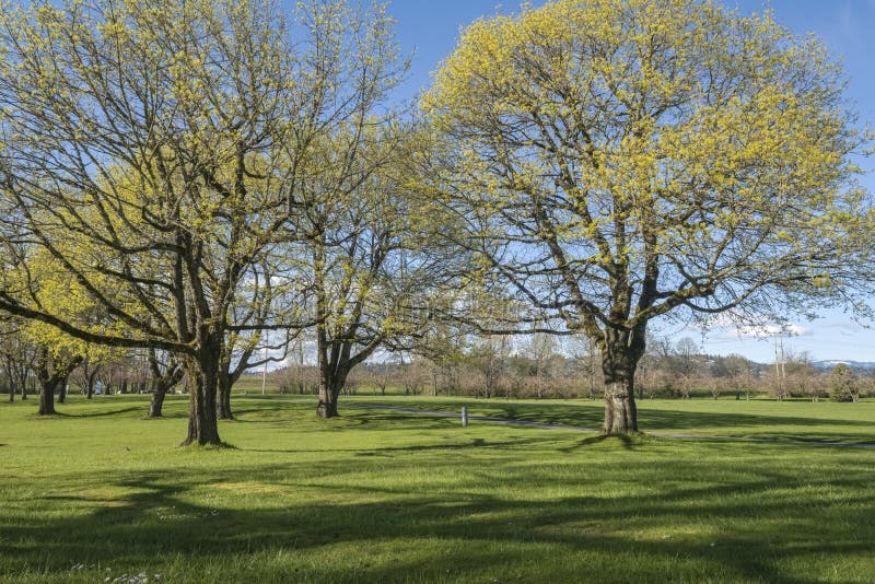Public Park Landscape in Fairview Oregon Stock Photo - Image of state ...