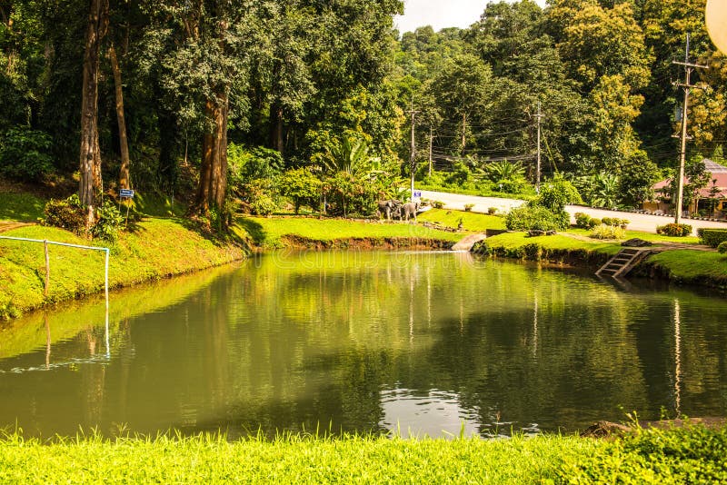 Public Park at Samoeng District Stock Image - Image of attraction ...