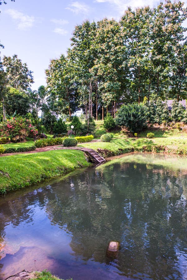Public Park at Samoeng District Stock Photo - Image of building, thai ...