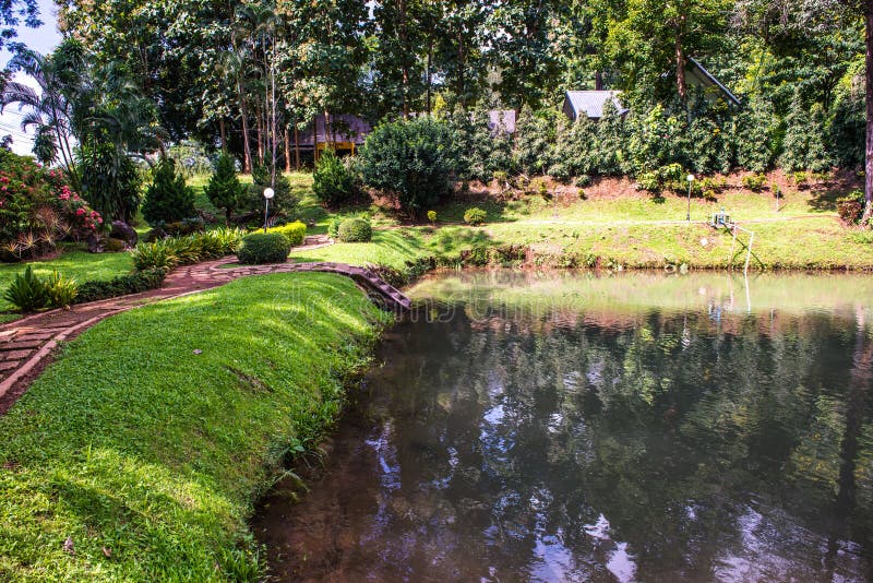 Public Park at Samoeng District Stock Image - Image of famous, thailand ...