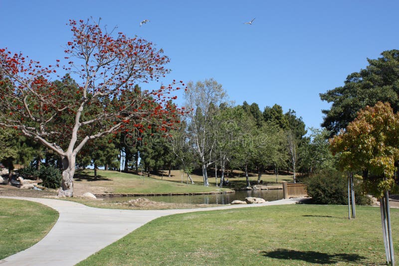 A Public Park with a Small Lake Stock Image - Image of recreation ...