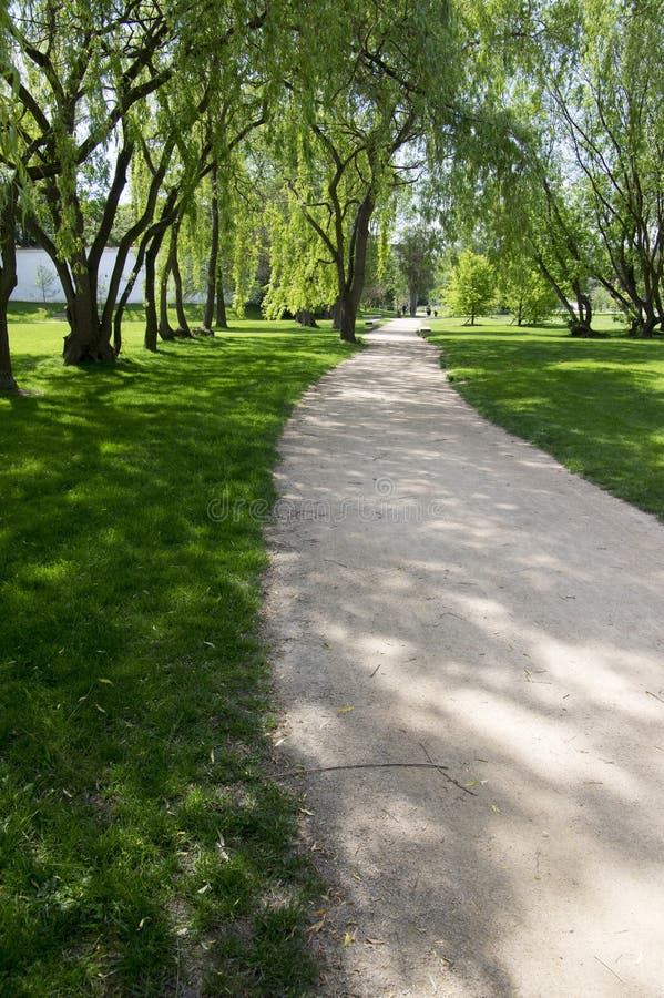 Public Park in Summer Time, Greenery, Path Throw and Bench, Sunny, Blue ...