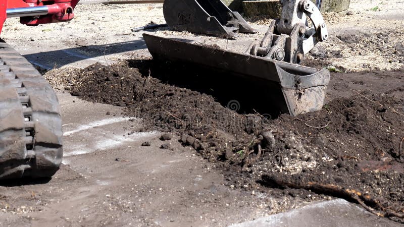 Mini Excavator Loading Dirt, 2 Shots Stock Footage - Video of clearing ...