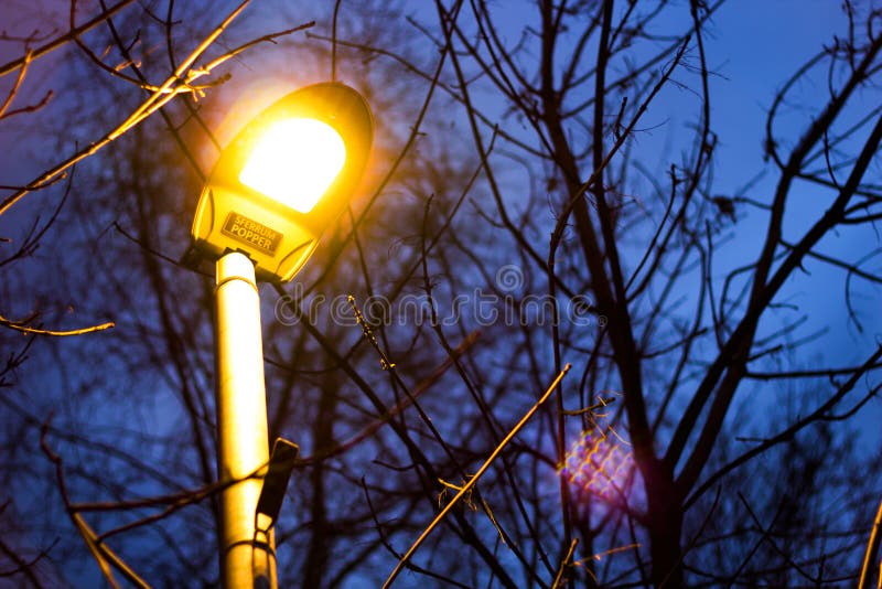 Public Pillar - Post Light at Night Against a Tree Stock Image - Image ...