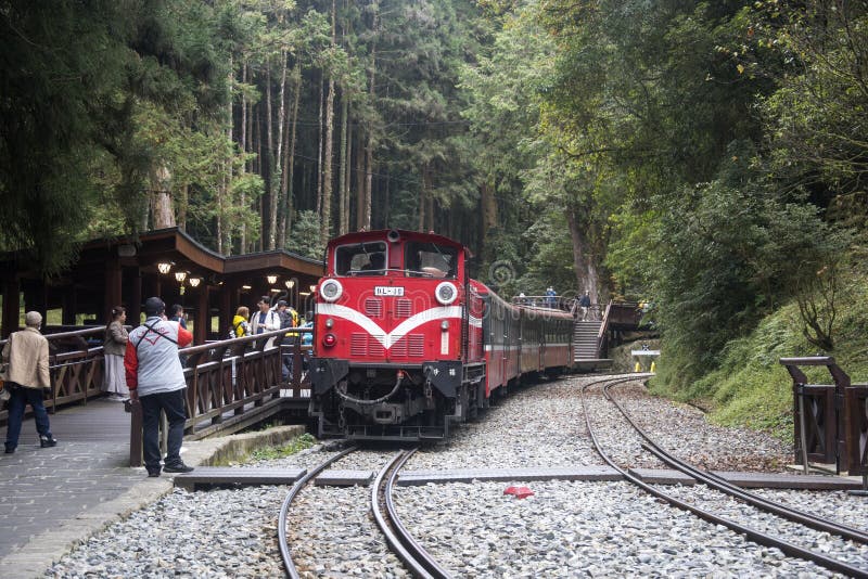 Public Train Dock at Sacred Tree Station in Alishan National Scenic ... Public Train Dock at Sacred Tree Station in Alishan National Scenic ...