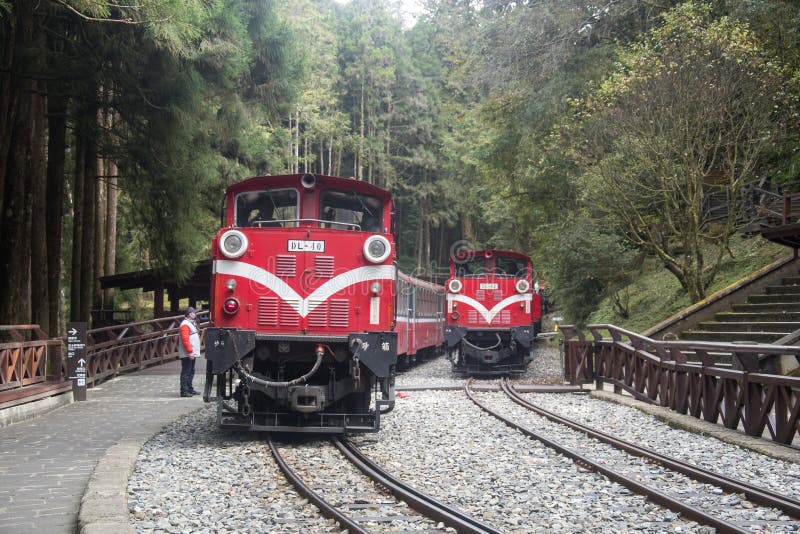 Public Train Leaves from Sacred Tree Station in Alishan National Scenic ... Public Train Leaves from Sacred Tree Station in Alishan National Scenic ...