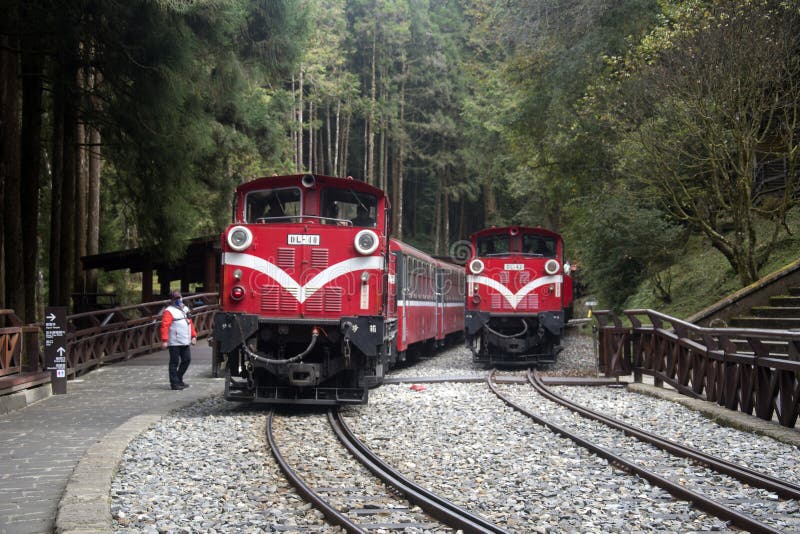 Public Train Leaves from Sacred Tree Station in Alishan National Scenic ... Public Train Leaves from Sacred Tree Station in Alishan National Scenic ...