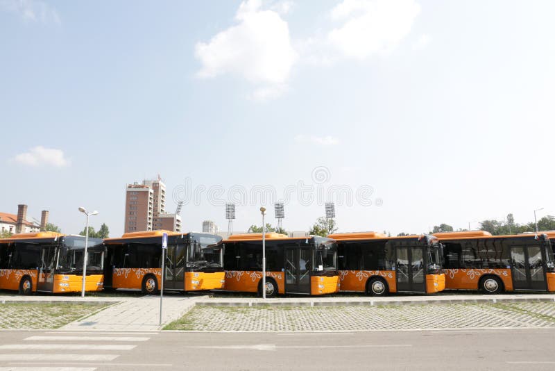 Public Transportation New Busses Front Stock Image - Image of ride ...