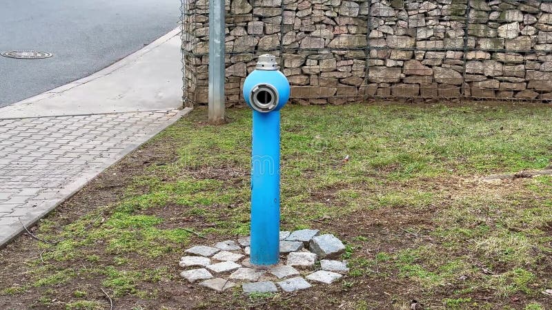 Publicly Placed Blue Fire Hydrant Located on a Grassy Area with a Stone ...