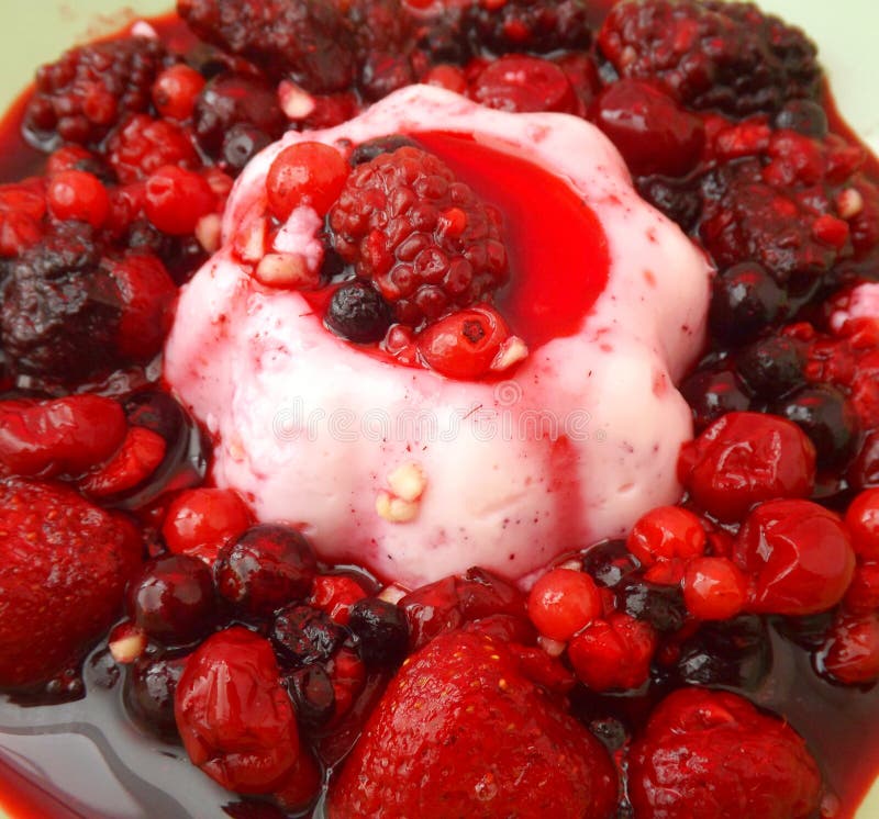 Pudding with berries stock photo. Image of sweet, berries - 41488824
