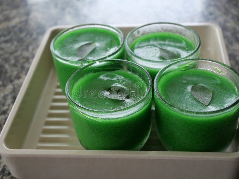 Pudding Moringa Leaf (organic Pudding) Stock Image - Image of food ...