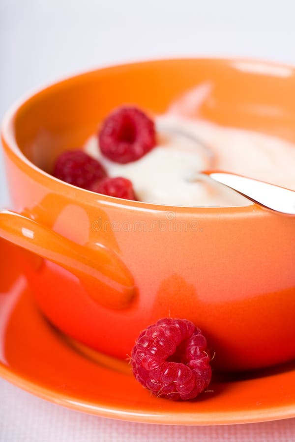 Pudding with raspberries stock image. Image of yogurt - 9132559