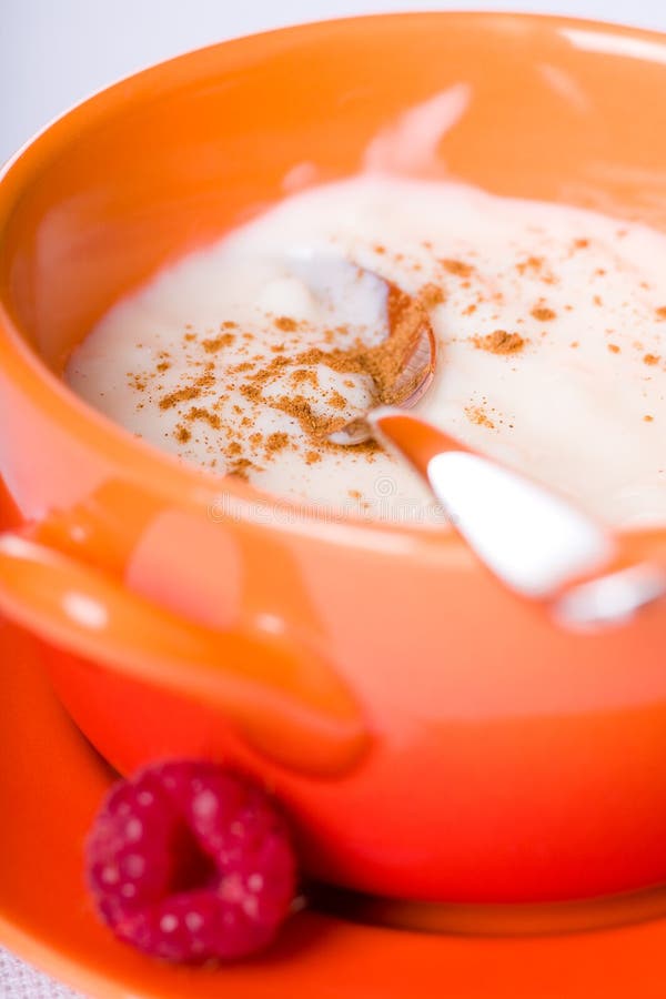 Pudding with raspberries stock photo. Image of pudding - 9171636