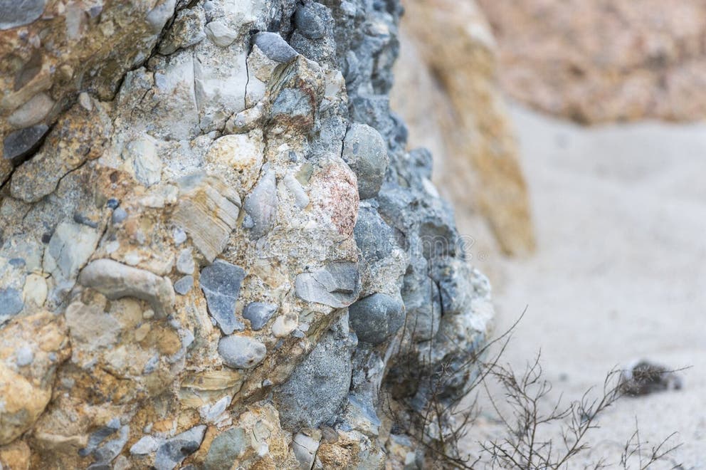 Puddingstone outcrop stock image. Image of gravel, westport - 96153777