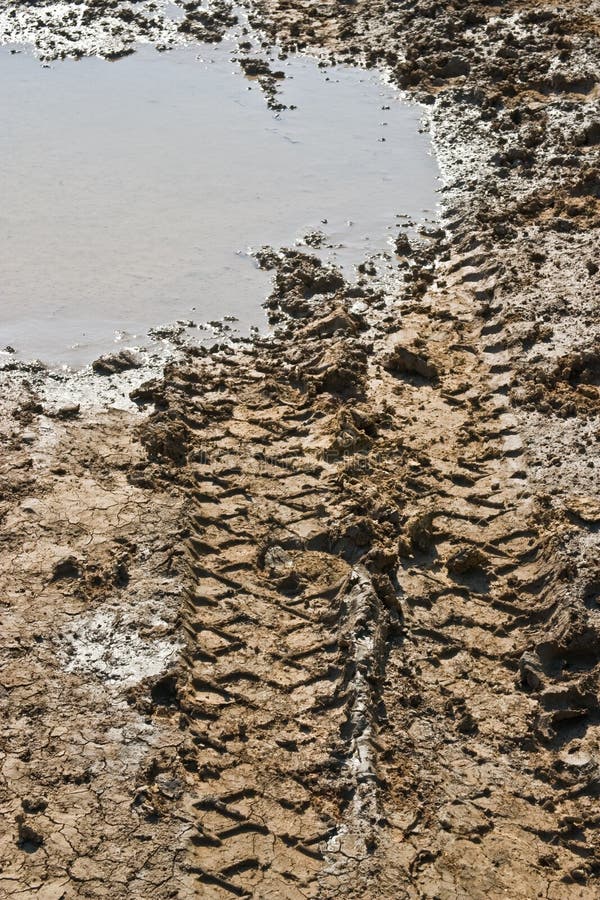 Puddle stock image. Image of water, track, earth, ground - 5427883