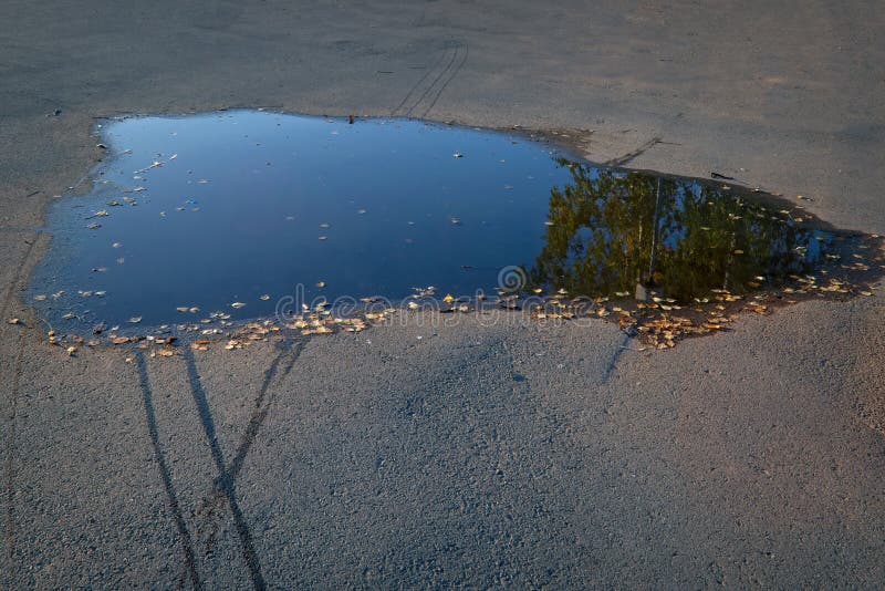 Puddle on the Asphalt. a Puddle on the Sidewalk with a Reflection of ...