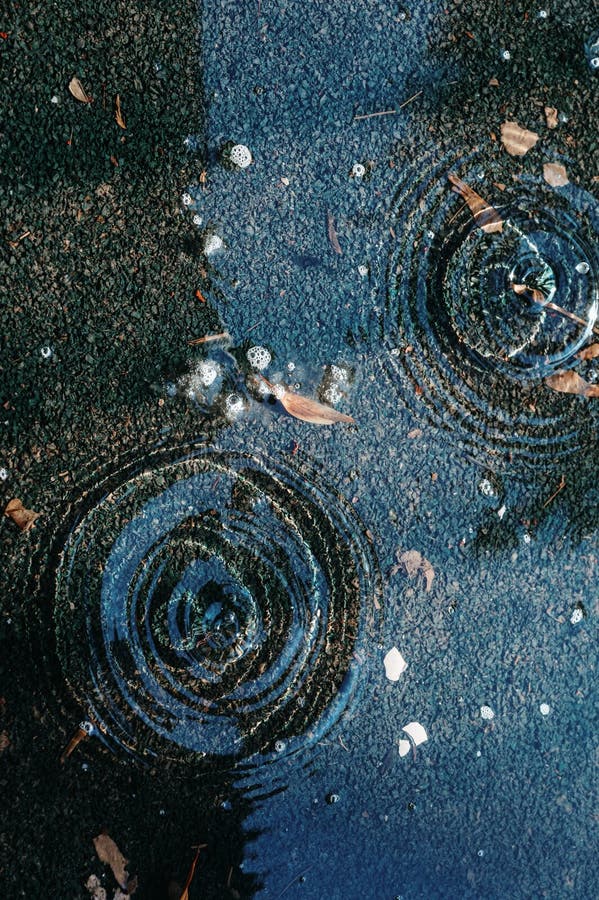 Puddle on Asphalt with Drops of Spring Raindrops and Circles on Water ...