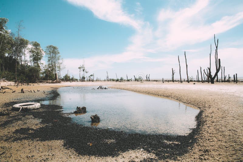 Puddle on a beach stock image. Image of scenics, beach - 84472951