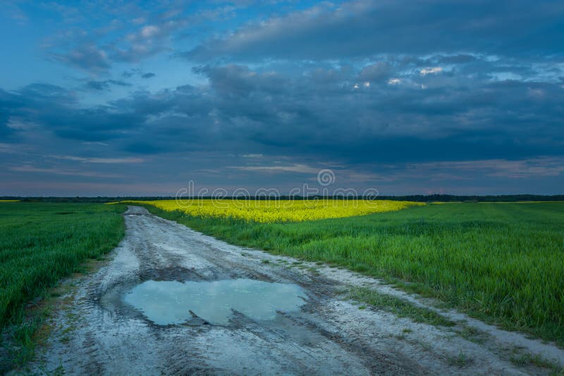 A Puddle on a Country Road through Fields and Evening Clouds Stock ...