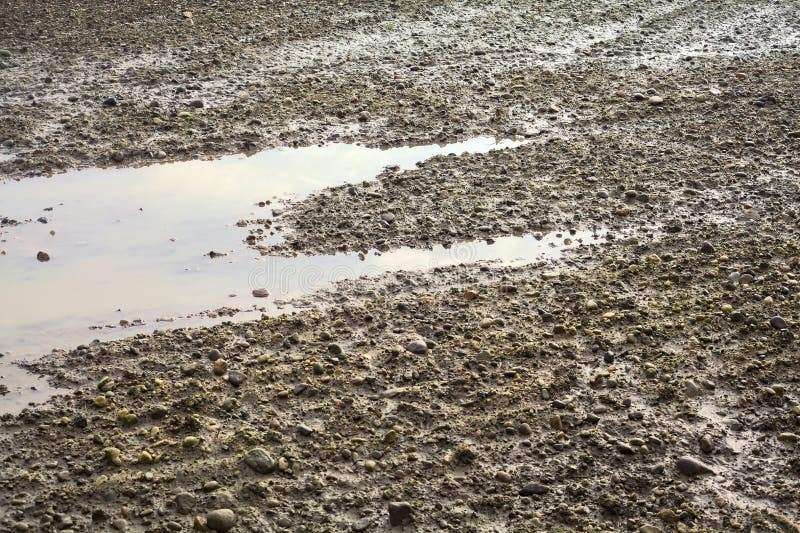 Puddle in a Cultivated Field Seen Up Close Stock Photo - Image of farm ...