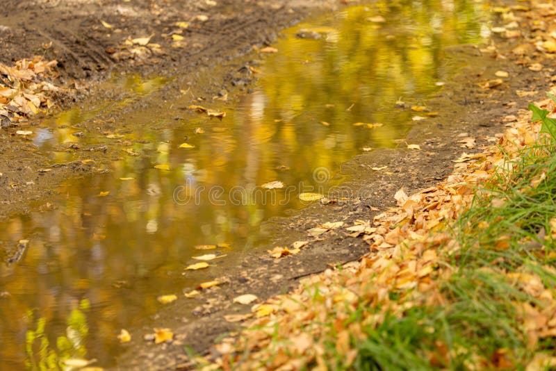Puddle on a Dirt Road with Autumn Reflection Stock Photo - Image of ...