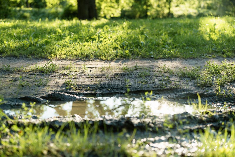 Wet Mud Puddle In Field And Sunset Stock Photo - Image of rural, meadow ...