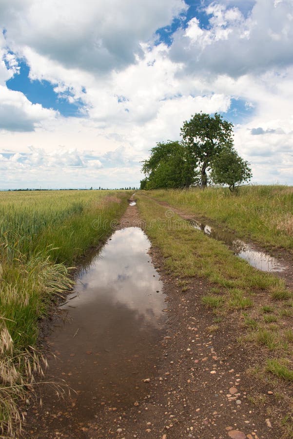 A Puddle on a Dusty Path in Field in Spring Day. Stock Photo - Image of ...