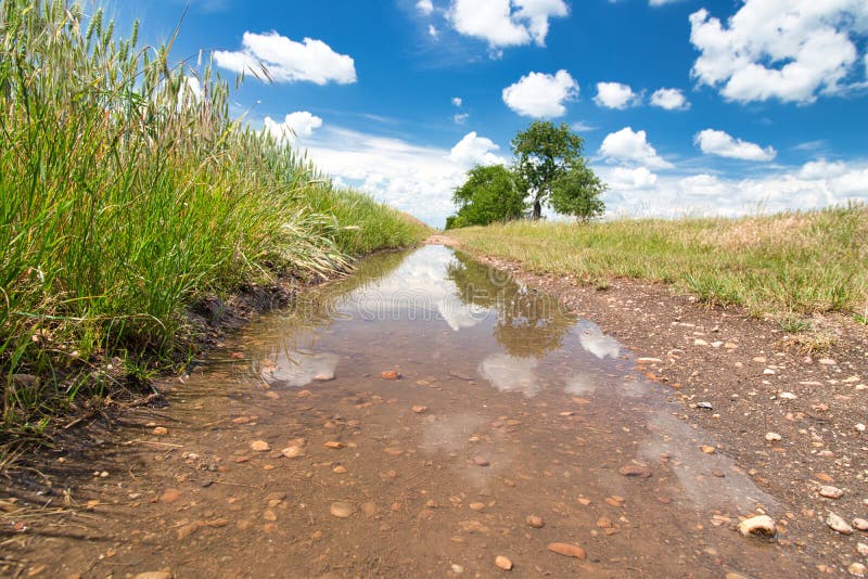 A Puddle on a Dusty Path in Field in Spring Day. Stock Image - Image of ...