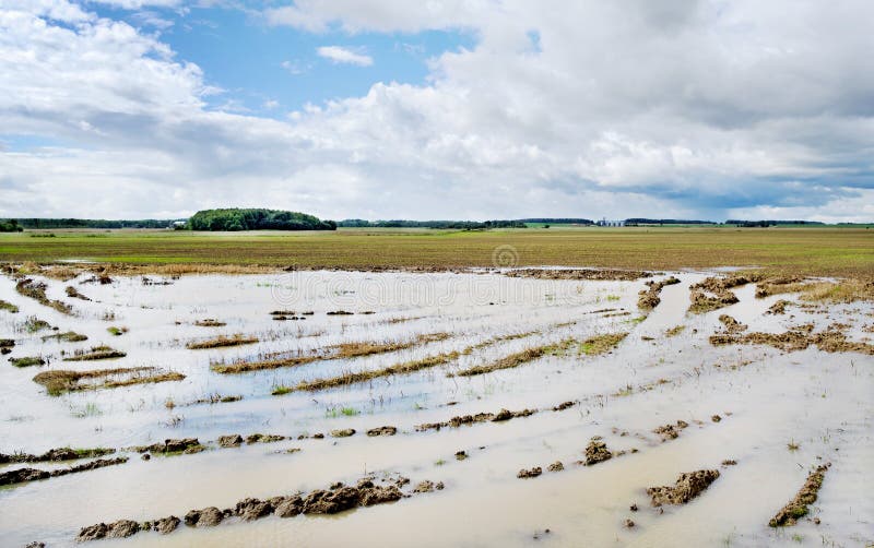 Puddle on the field. stock image. Image of rural, nature - 17809057