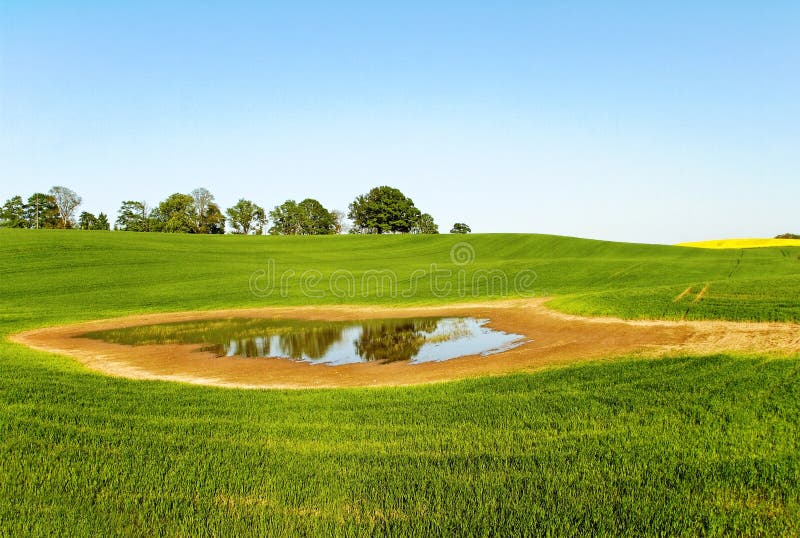 Puddle on the field. stock image. Image of landscape - 25095455