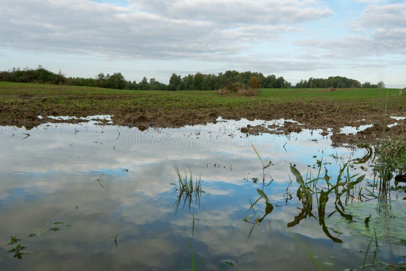 Puddle in the field stock photo. Image of field, climate - 248250512
