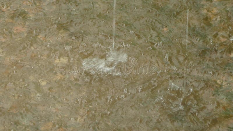 The Puddle is Filled with Water from the Rain Stock Video - Video of ...