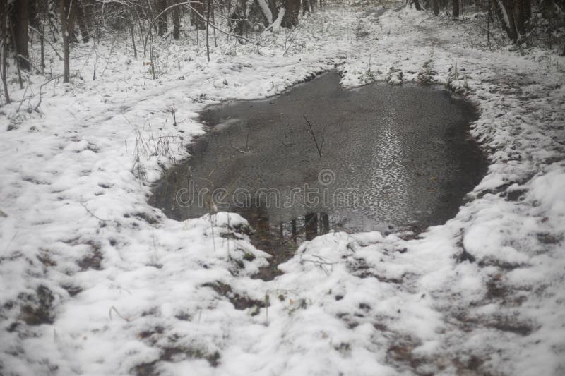 Puddle in the Forest. Frozen Path Stock Image - Image of reflection ...
