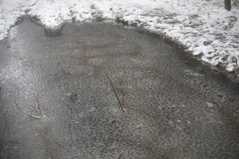 Puddle in the Forest. Frozen Path Stock Photo - Image of springtime ...