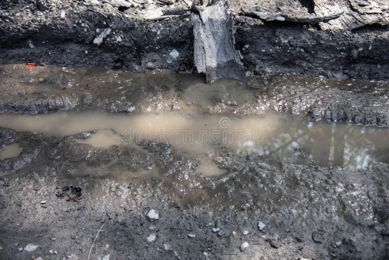Puddle on forest path stock photo. Image of puddle, brown - 224880108