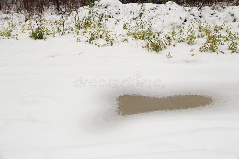 A Puddle in the Form of a Heart in the Forest with White Snow Stock ...