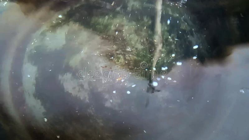 A puddle forms in the tub stock video. Video of drop - 290550821