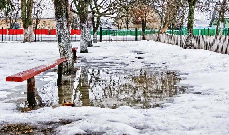 Puddle in the Garden during Melting of Snow. Reflection of Trees Stock ...