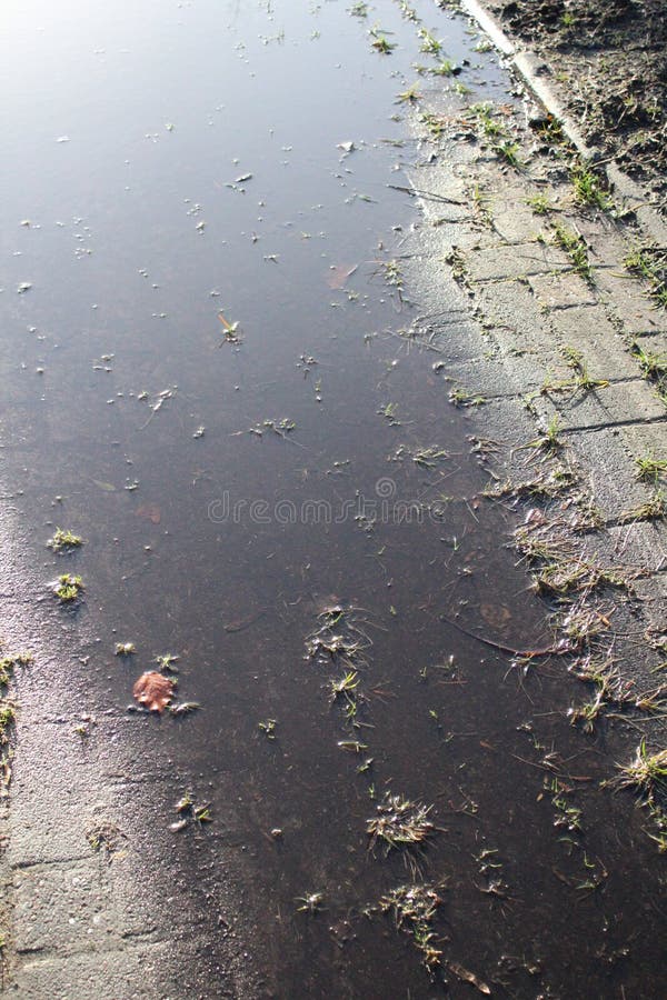 Puddle stock photo. Image of puddle, tree, ground, harvest - 78834098