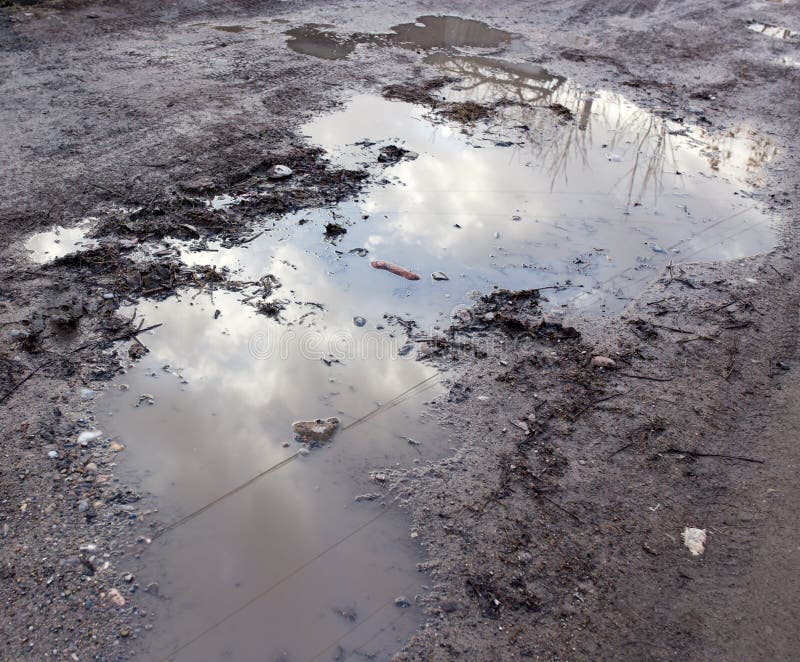 Puddle on the Ground in Nature Stock Image - Image of dirt, puddle ...