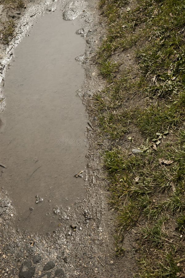 Puddle on the Lawn among the Grass Stock Photo - Image of natural ...