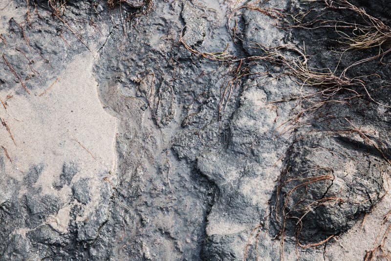 Puddle, Mud, Clay and Sand, Top View. Grunge Texture Stock Image ...