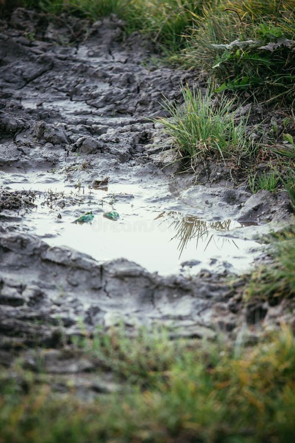 Puddle of Mud on Field, Water Stock Photo - Image of flood, water ...