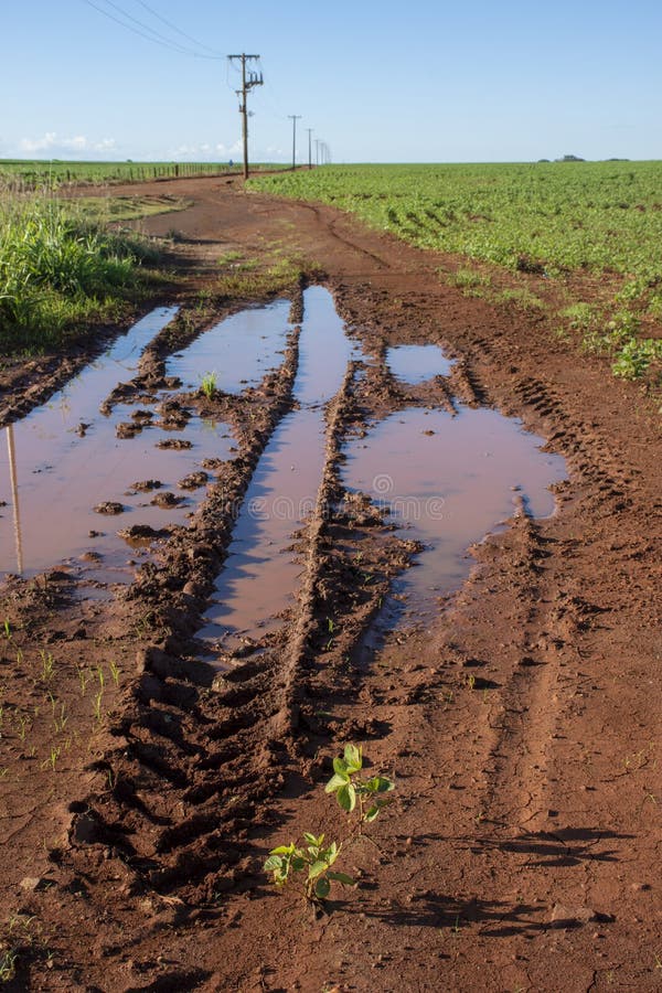 Puddle - mud stock photo. Image of brazil, grosso, puddle - 207877832