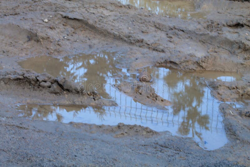 Puddle and mud on the road stock image. Image of puddle - 272218601
