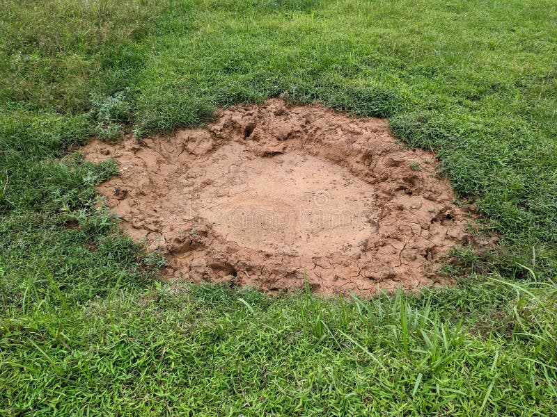 Puddle of Mud or Soil, a Place for Buffalo Baths Stock Photo - Image of ...
