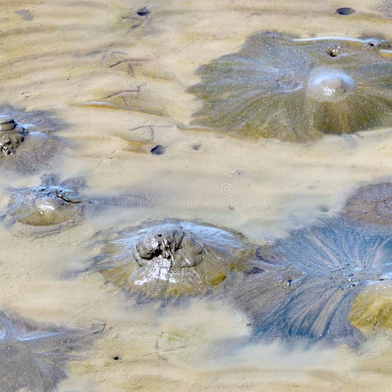 Puddle and Mud Texture, Abstract Background Stock Image - Image of ...