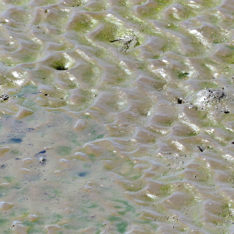 Puddle and Mud Texture, Abstract Background Stock Image - Image of ...
