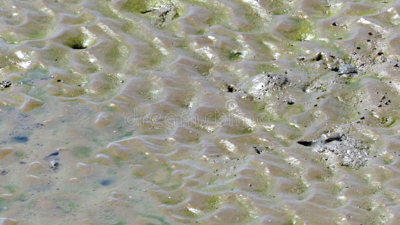 Puddle and Mud Texture, Abstract Background Stock Photo - Image of ...