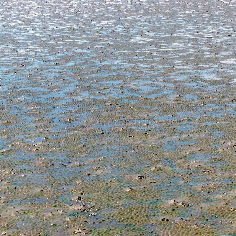 Puddle and Mud Texture, Abstract Background Stock Photo - Image of clay ...